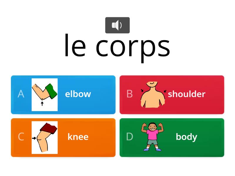 les parties du corps vocabulaire - Quiz