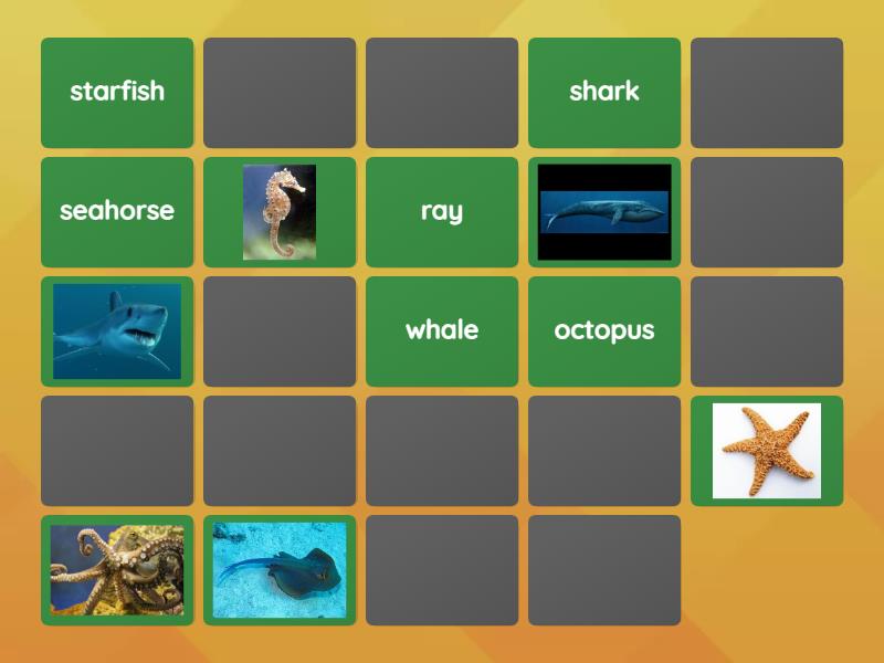 sea animals - Matching pairs