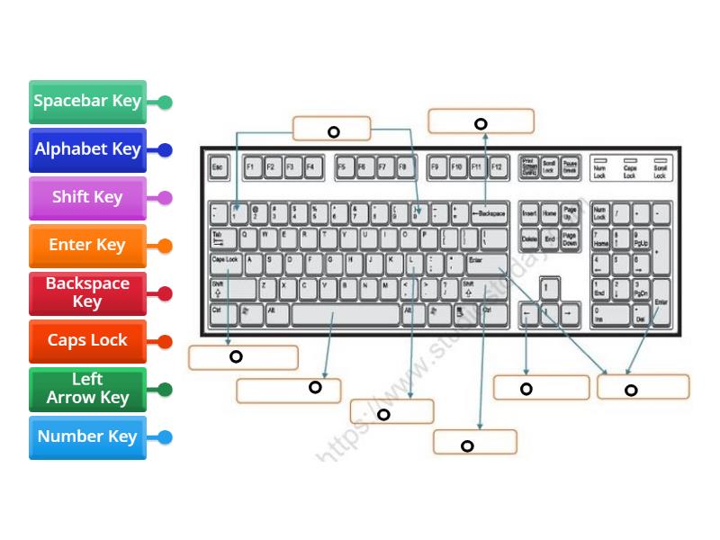 Keys on the Keyboard - Labelling Diagram - Labelled diagram