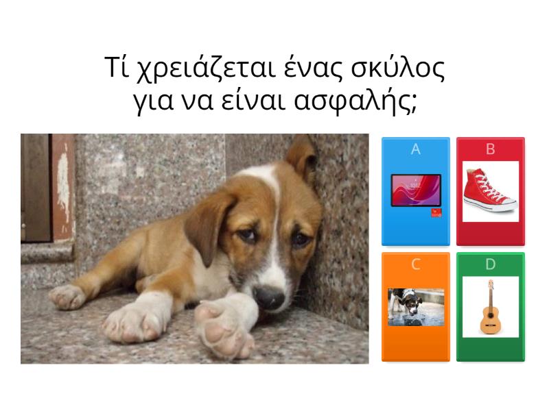 αδεσποτα - Quiz