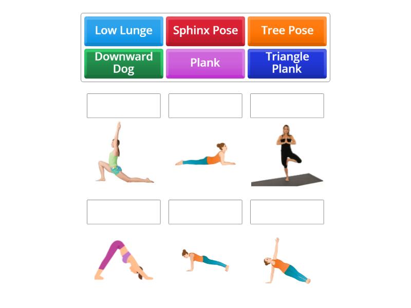 FIZZIKAL Yoga Poses - Match up
