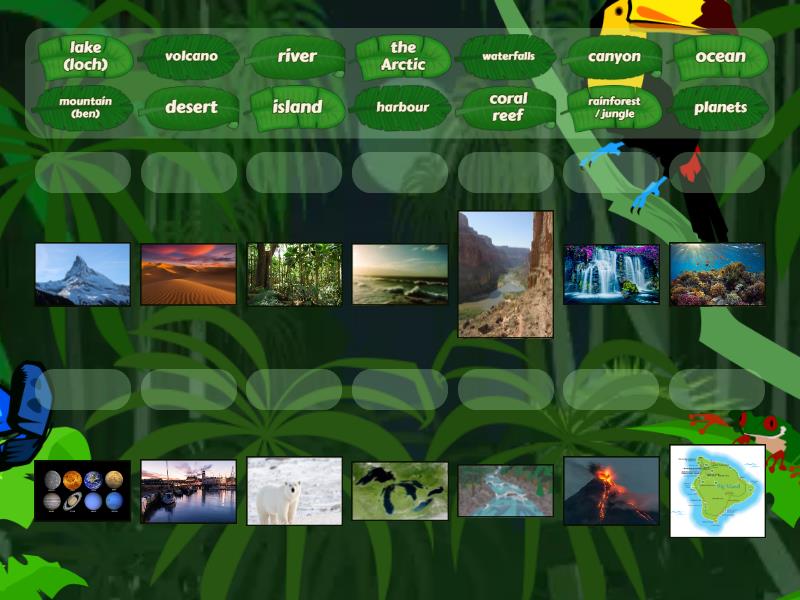Environment - Match up