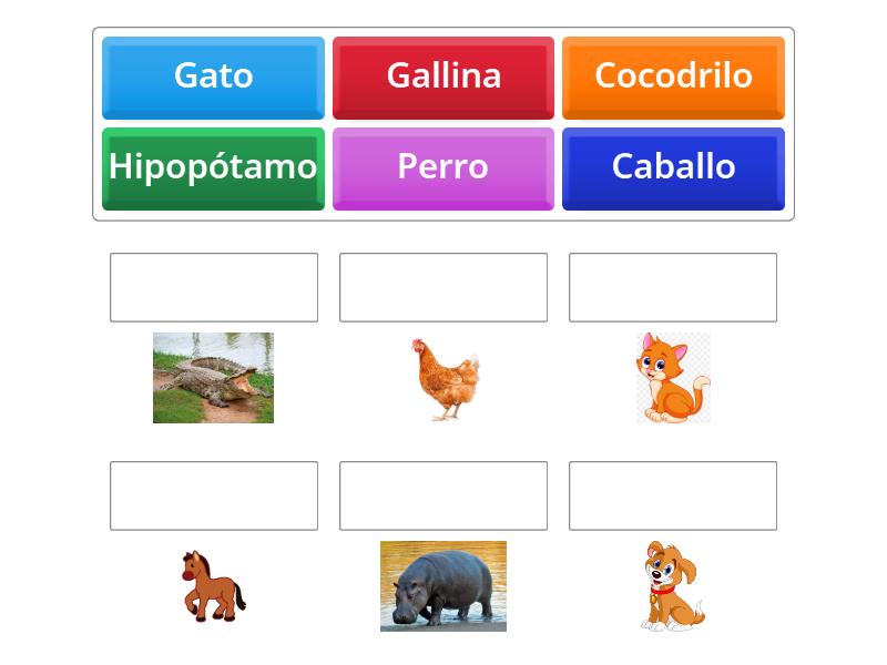 Los animales - Match up