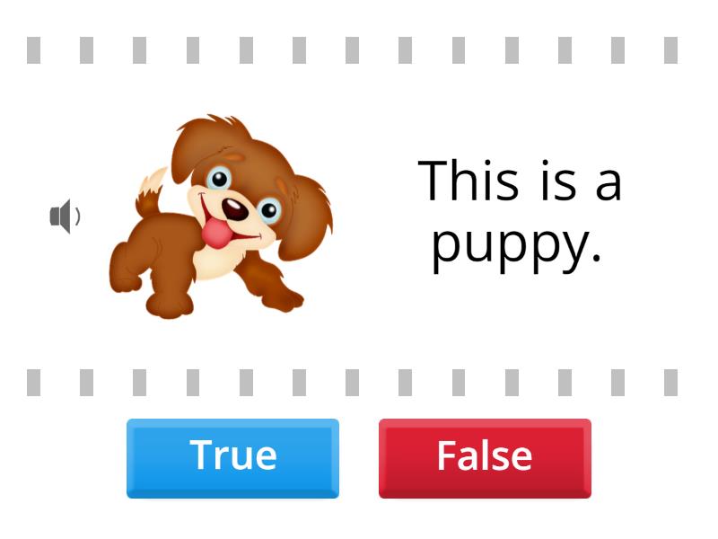 B6.7. I love my dog Bingo - True or false