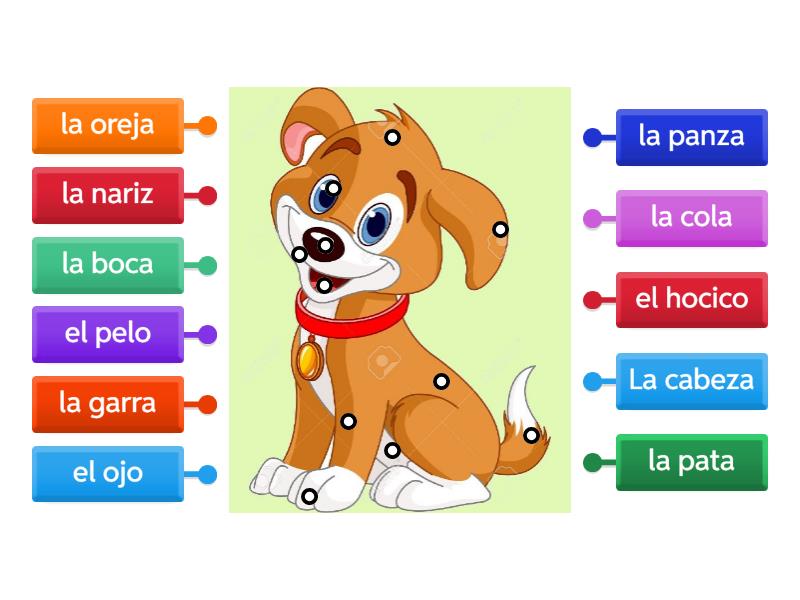 5to PARTES DEL CUERPO DEL PERRO - Imagem com legenda