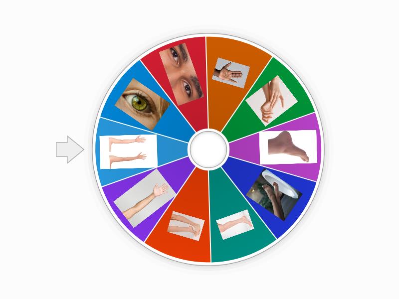 ESL50 sin/plural parts of body - Spin the wheel