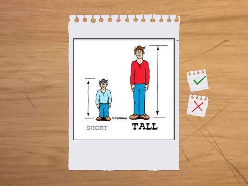 Unit 4 - all words - Flash cards