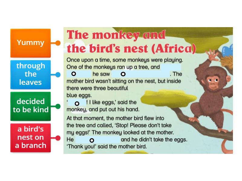The monkey and the bird's nest P1 - Labelled diagram