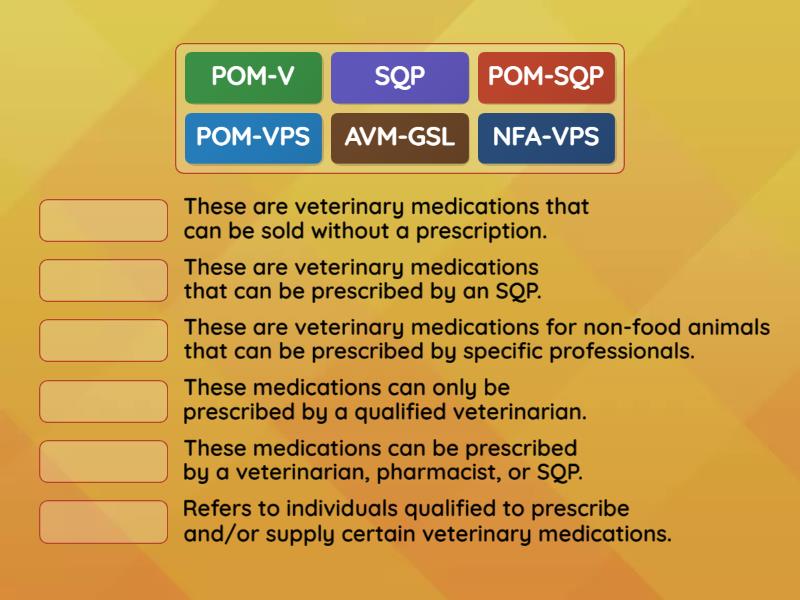 VN04 - Legal categories - Match up