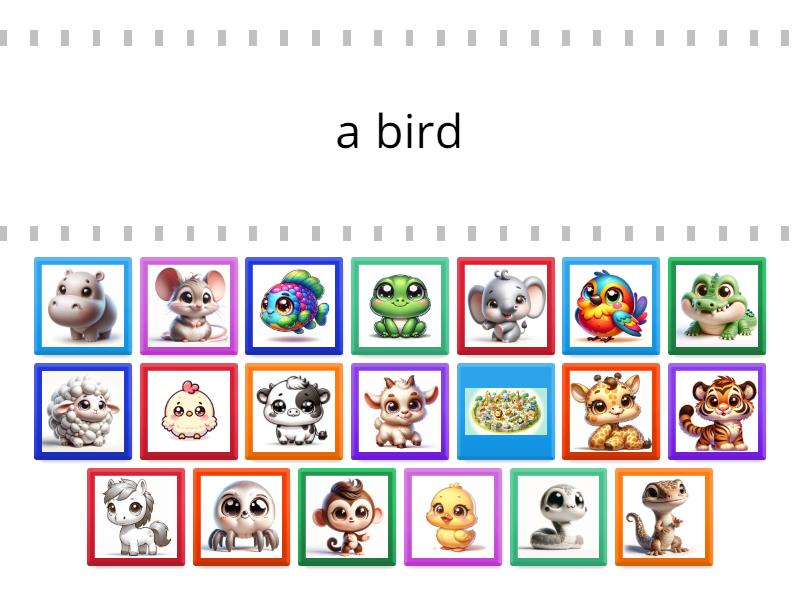 Cambridge Starters - Animals - Practice - Tìm đáp án phù hợp