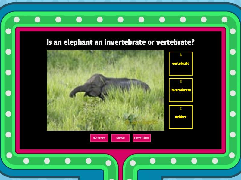 vertebrates and invertebrates - Game show de TV