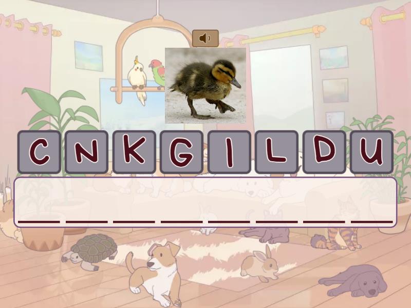 Baby animals - Anagrama