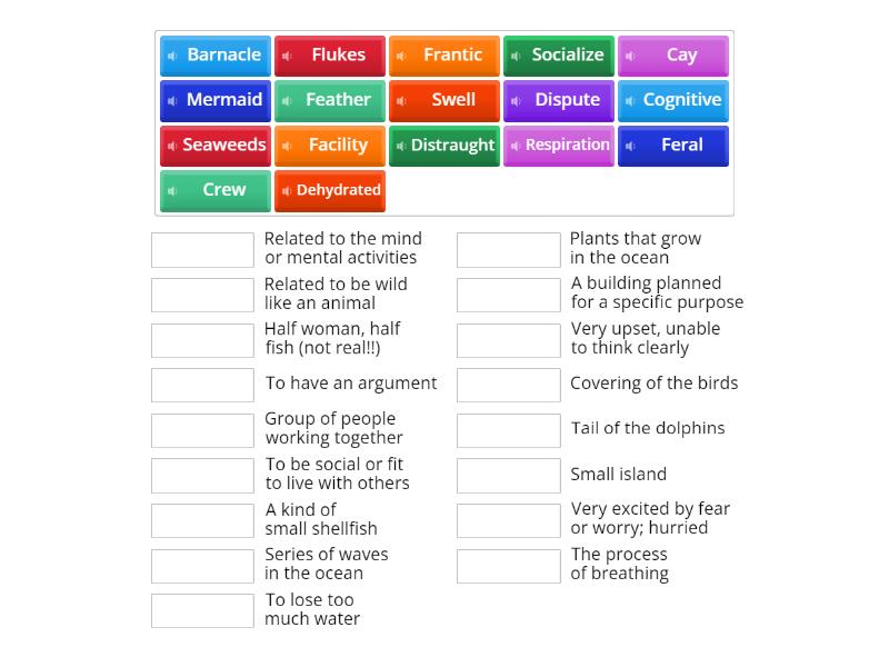 The Music of Dolphins Vocabulary - Match up