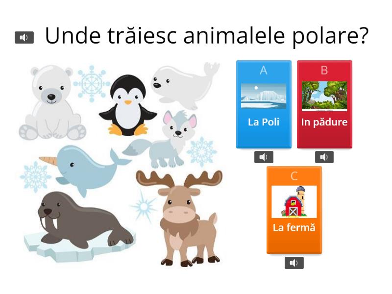 Fascinanta lume a animalelor polare - Quiz
