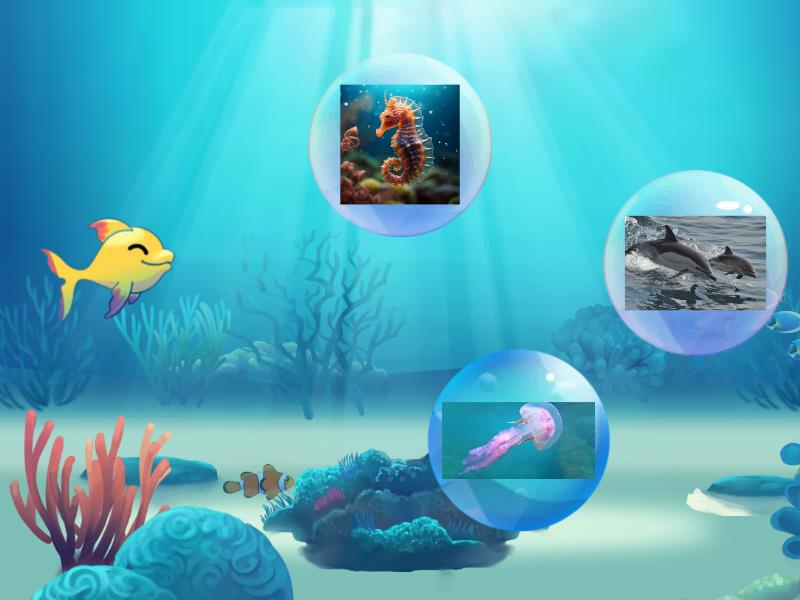game - sea animals (part 2) - level 2 - MEIE - Airplane