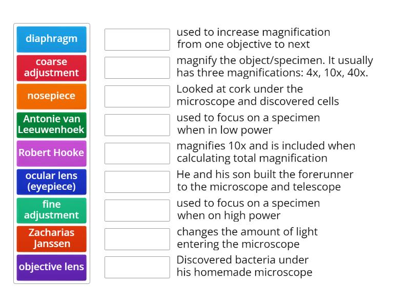Intro to Microscopes - Match up