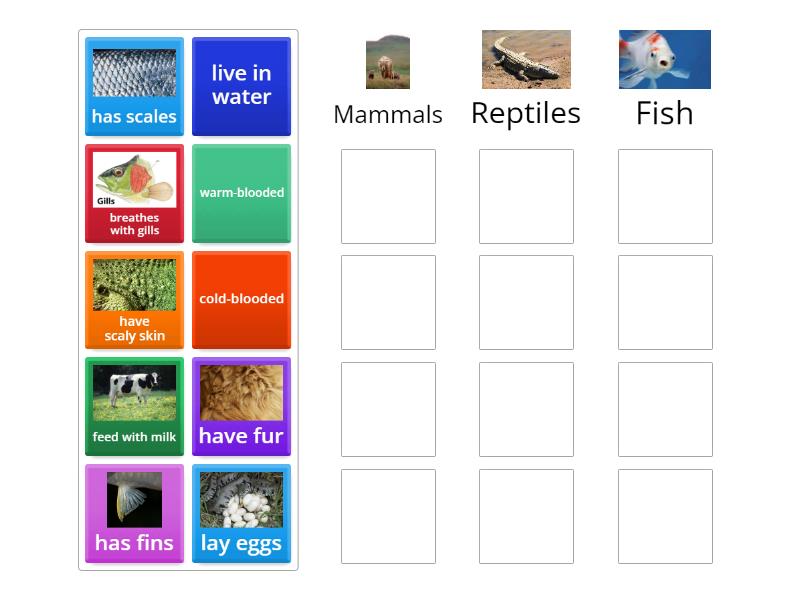 Classifications - Group sort