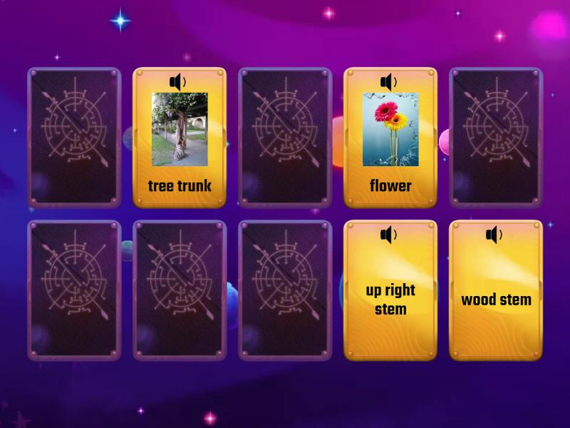 stem types grade 5 - Matching pairs