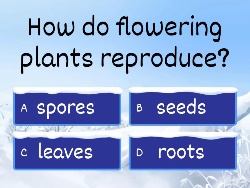 Reproduction of Plants - Quiz