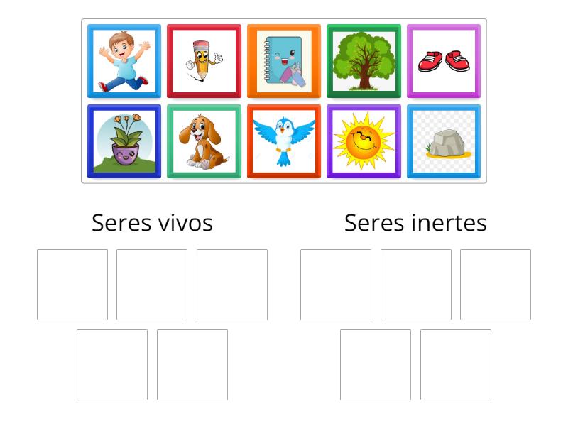 Seres Vivos e Inertes - Group sort