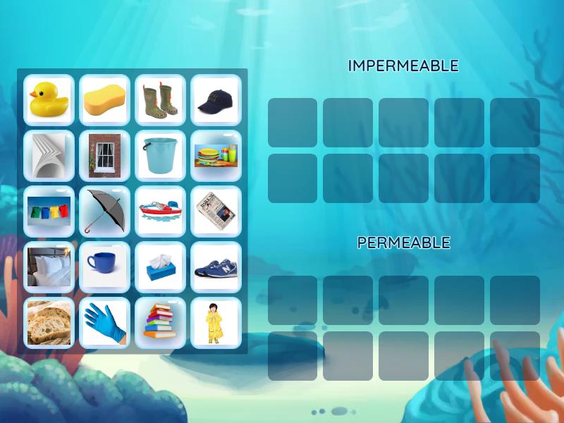 Waterproof Vs Water Absorbent Materials - Science, 3rd grade, 2nd bim ...