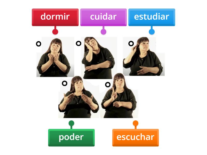 Verbos En Lsa Labelled Diagram