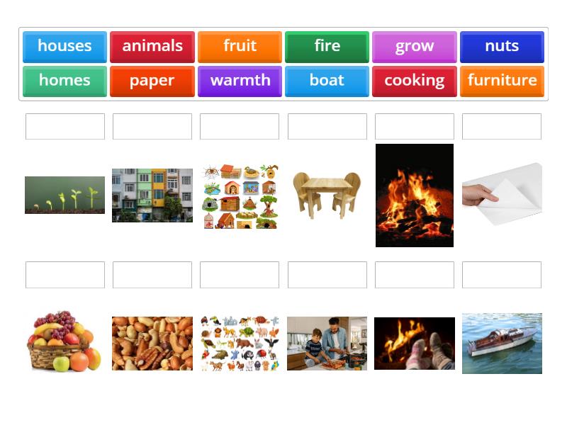 Vocabulary: Unit 7: The Importance of Trees - Match up