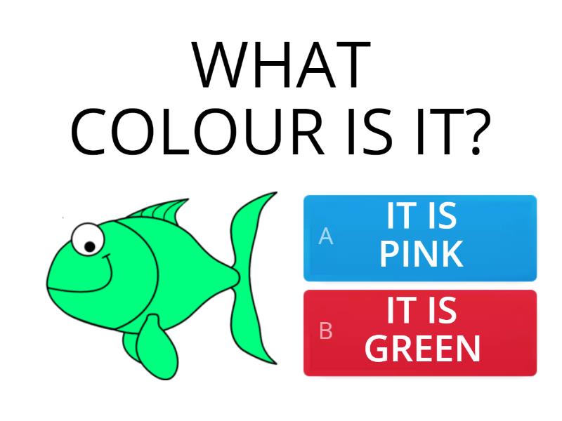 PETS AND COLOURS - Quiz