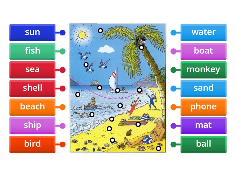 beach - Labelled diagram
