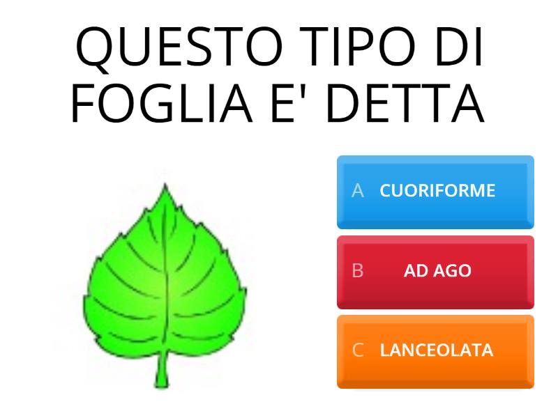 LA forma della FOGLIA - Quiz
