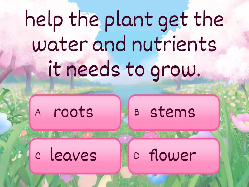 Plant Parts G2 _ Science - Quiz