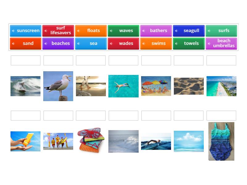 s and z = beach vocabulary - Match up
