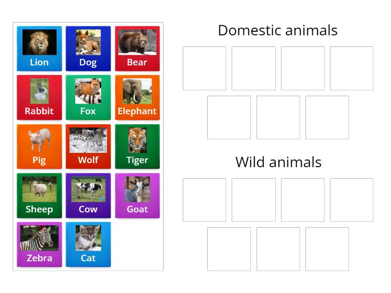 Domestic and wild animals - Group sort