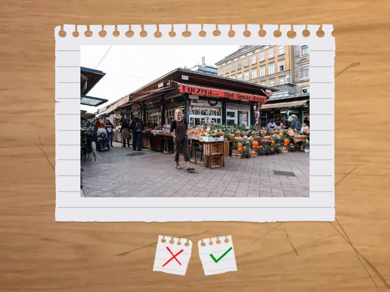 VIENNA - Flash cards