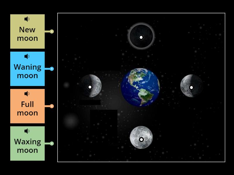 The phases of the Moon. - Labelled diagram