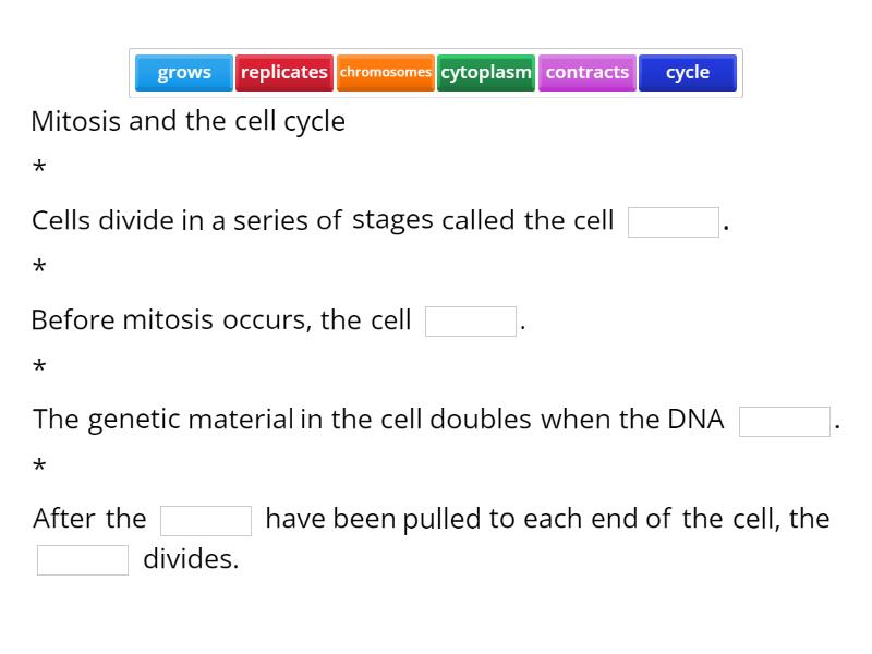 Mitosis and the cell cycle - Complete the sentence