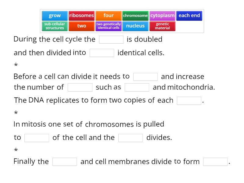 4.1.2.2 Mitosis and the cell cycle AQA GCSE Combined Science: Trilogy ...