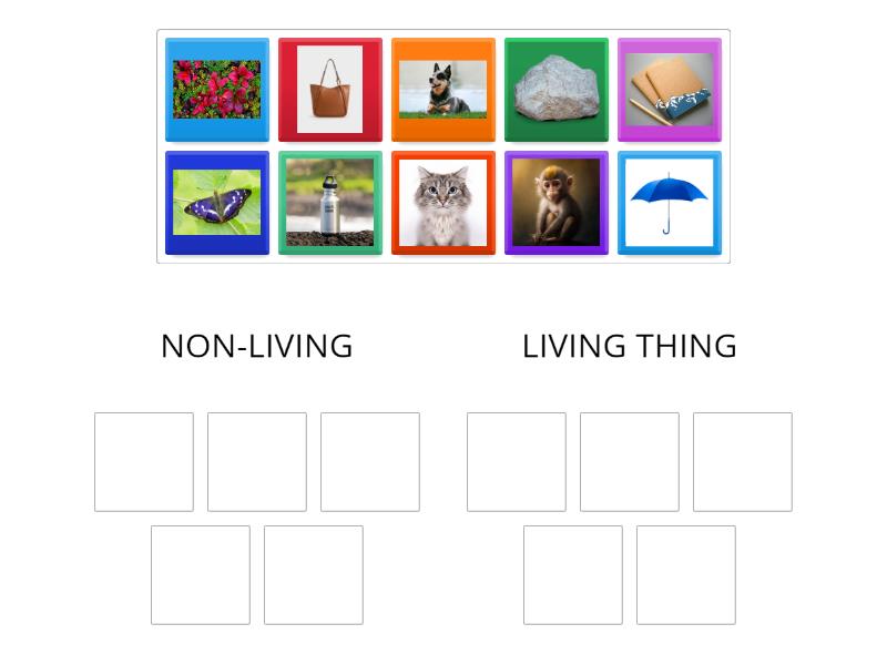 COMPARING BETWEEN NONLIVING THING AND LIVING THING - Group sort