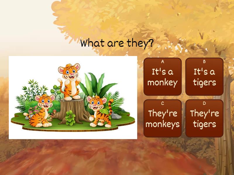 Kid's box 1 Unit 7+8 - Quiz