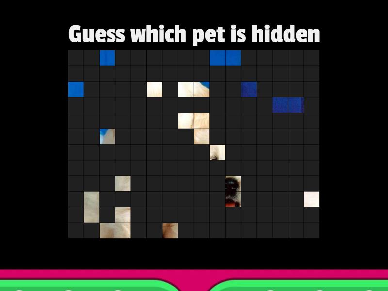 PETS GUESSING GAME - Image quiz