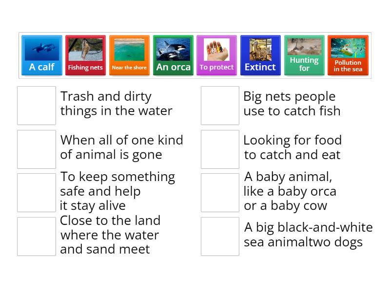 Writing - Match up