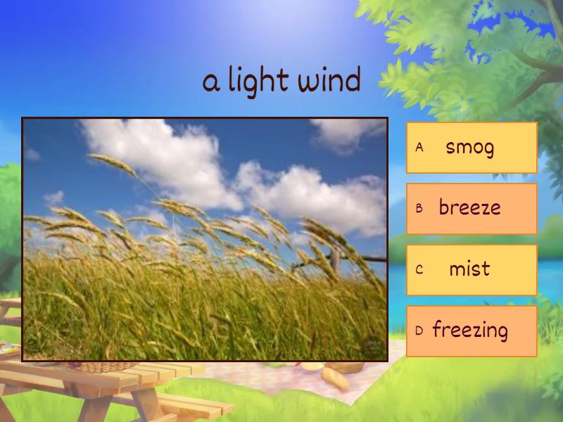 EF Upper-Intermediate, unit 4A, practice, What is the weather like - Quiz