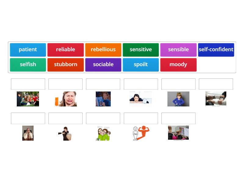 NEF Personality P2 - Match up
