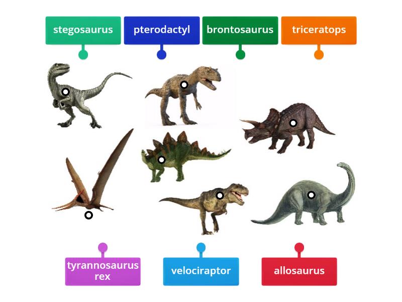 Dinosaurs! - Labelled diagram