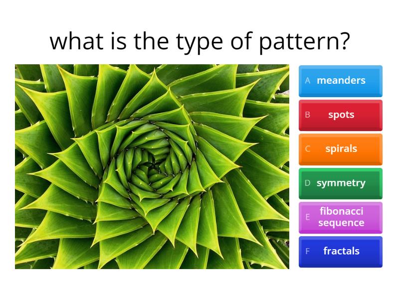 patterns in nature - Quiz