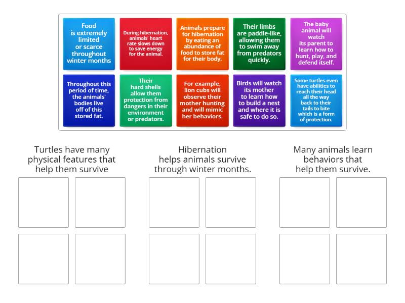 Topic sentence ( Main Idea) and Supporting Sentences. Matching game ...