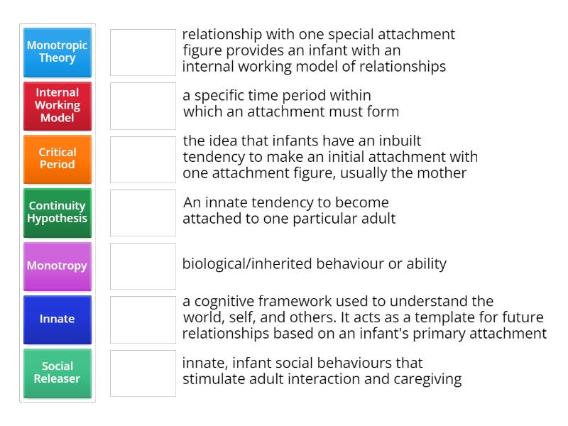 Bowlby's Monotropic Theory - Match up