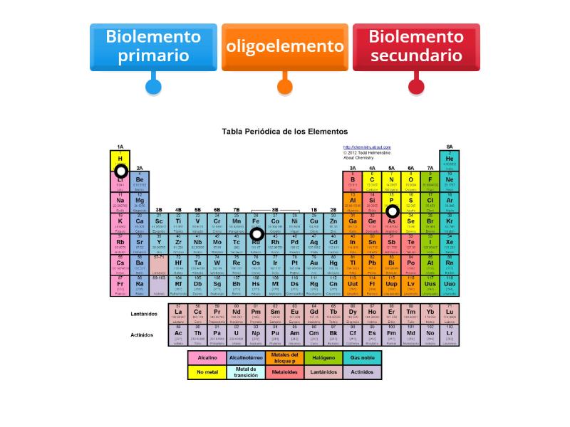 Bioelementos - Labelled diagram