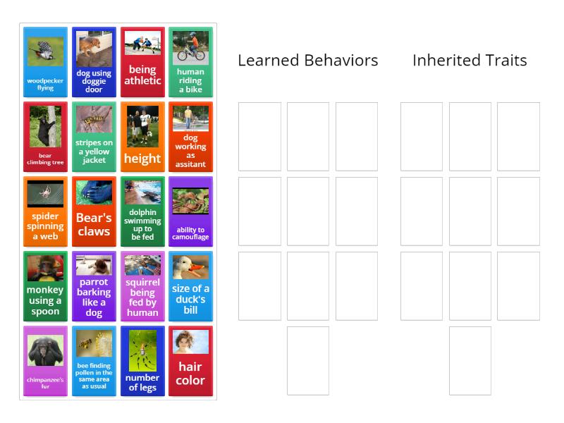 Inherited Traits vs. Learned Behaviors - Group sort