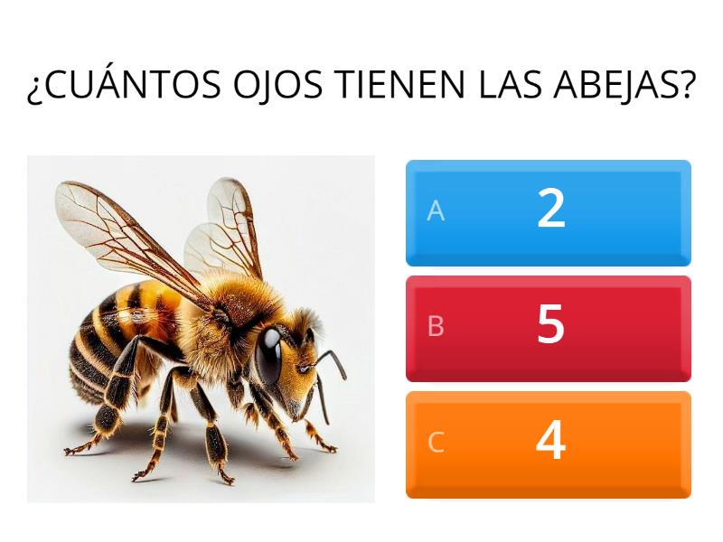 Las Abejas - Quiz